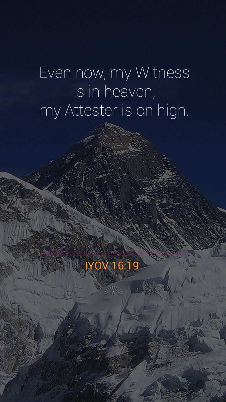 Job Chapter 16 | Daily Holy Bible Reading