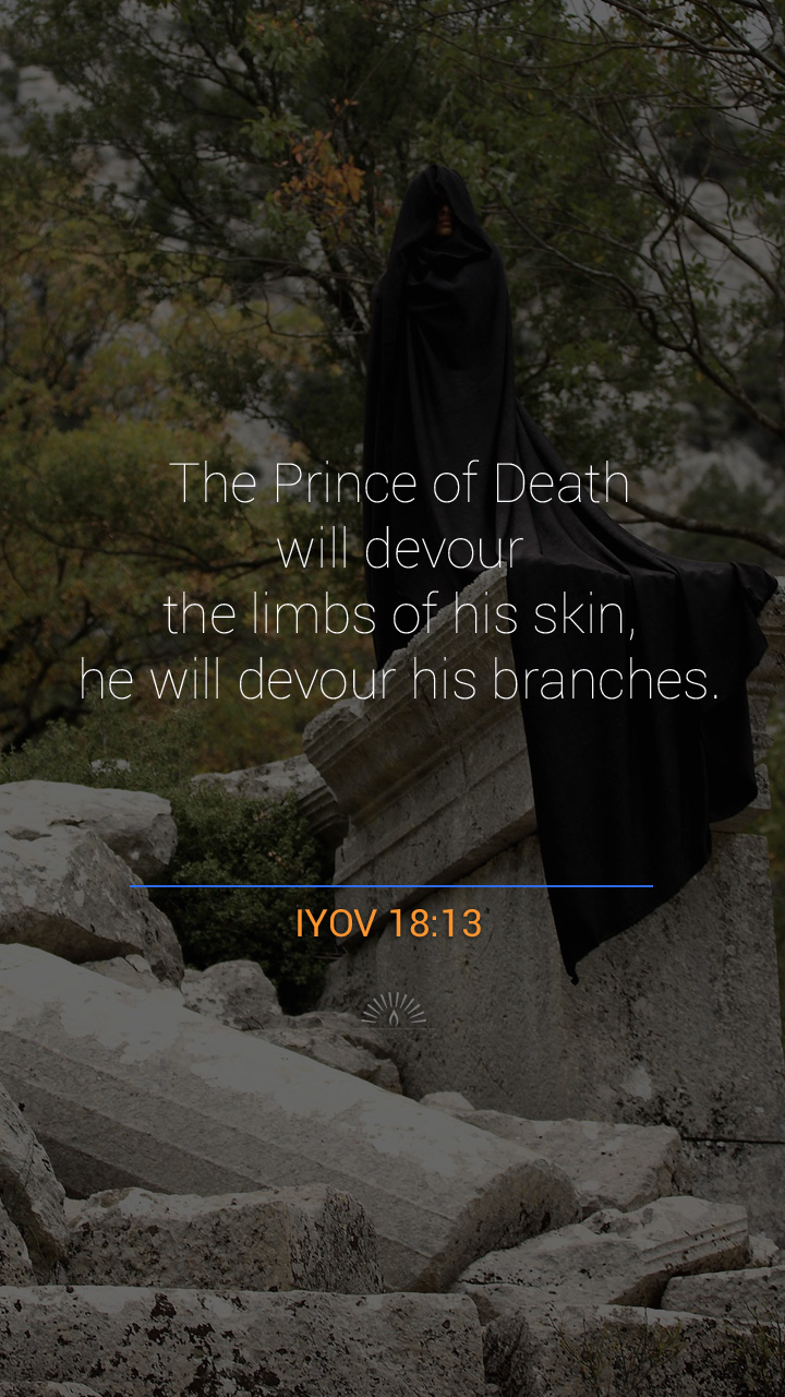 Job Chapter 18 | Daily Holy Bible Reading