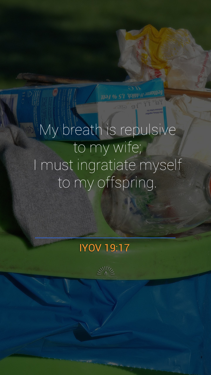 Job Chapter 19 | Daily Holy Bible Reading