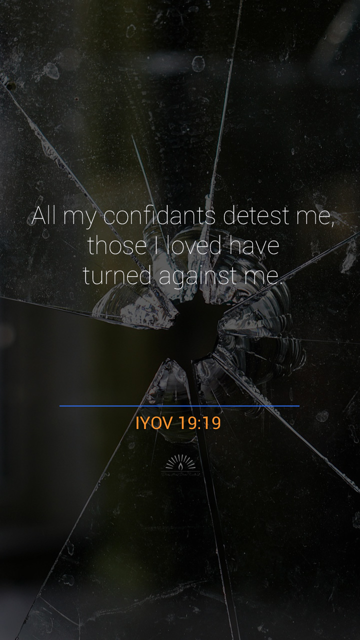 Job Chapter 19 | Daily Holy Bible Reading