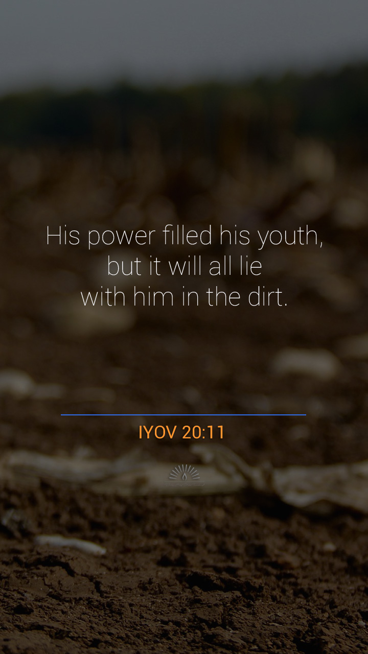 Job Chapter 20 | Daily Holy Bible Reading