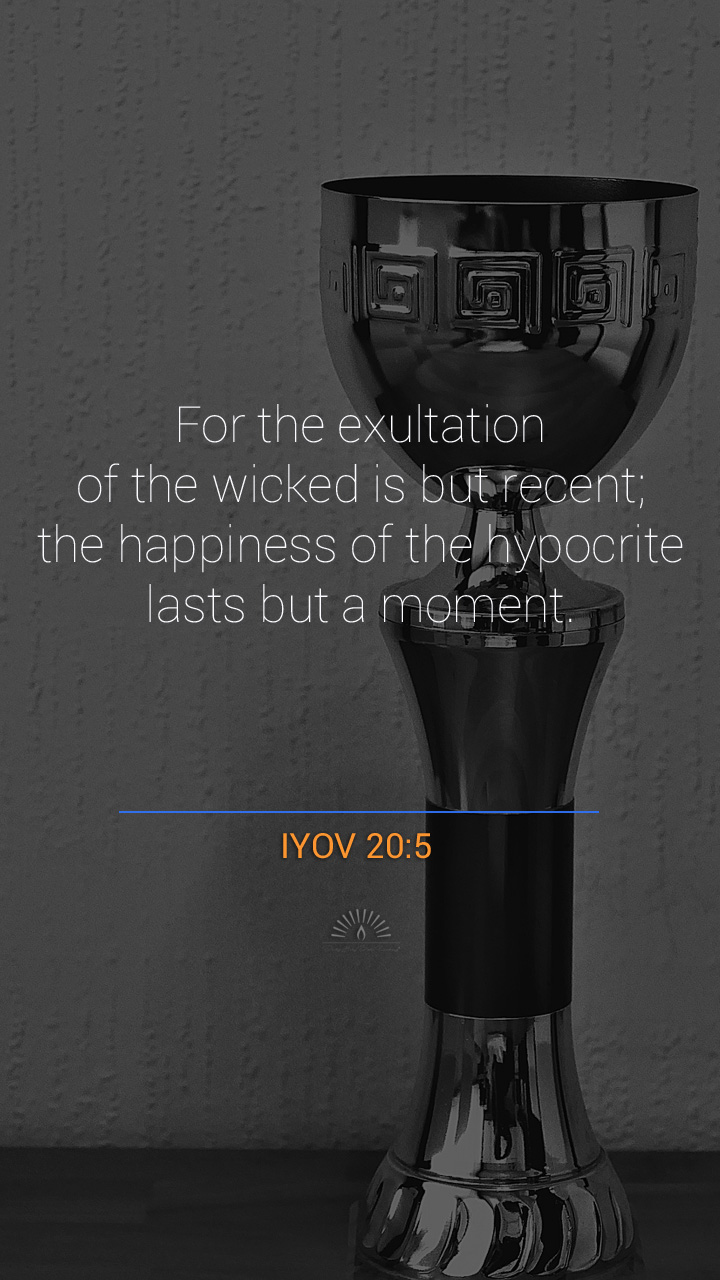 Job Chapter 20 | Daily Holy Bible Reading