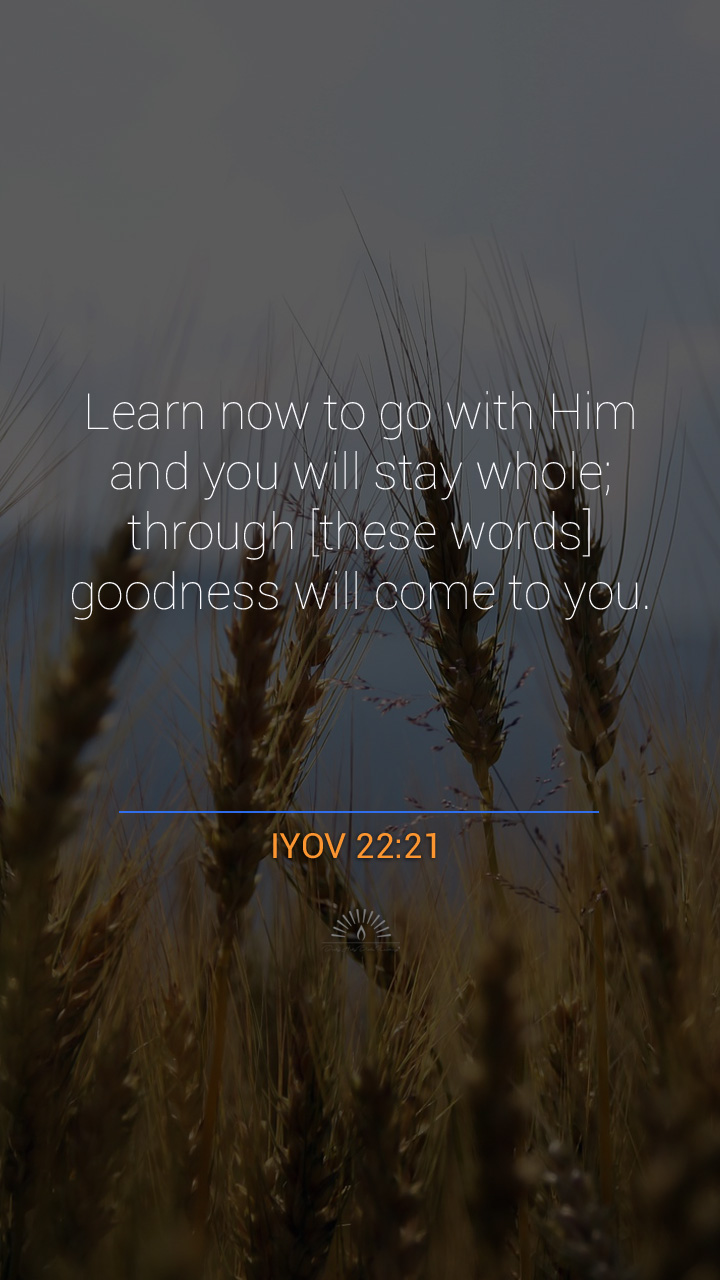 Job Chapter 22 | Daily Holy Bible Reading