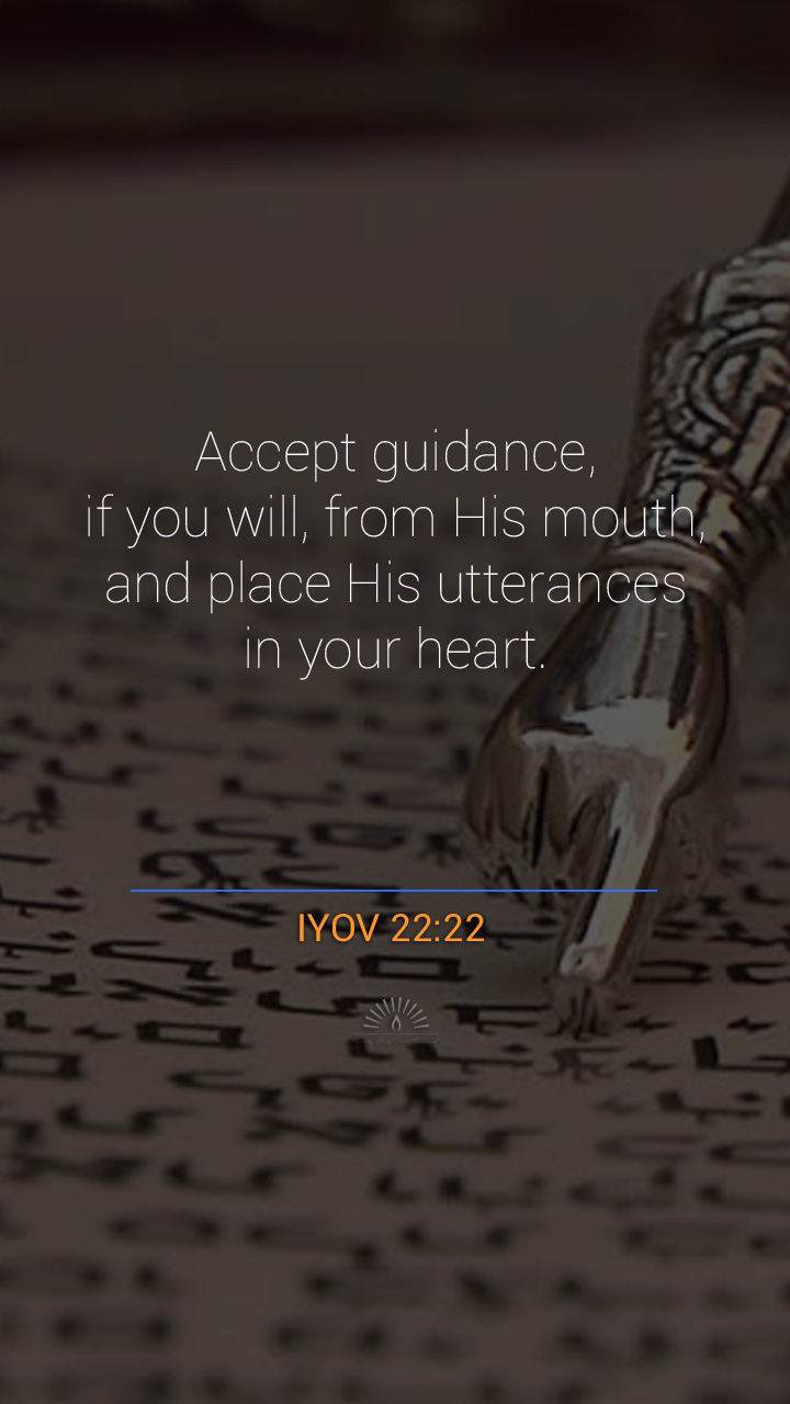 Job Chapter 22 | Job On Repentance And | One Chapter A Day