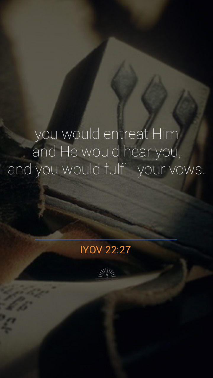 Job Chapter 22 | Daily Holy Bible Reading