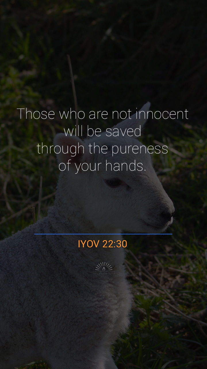 Job Chapter 22 | Daily Holy Bible Reading