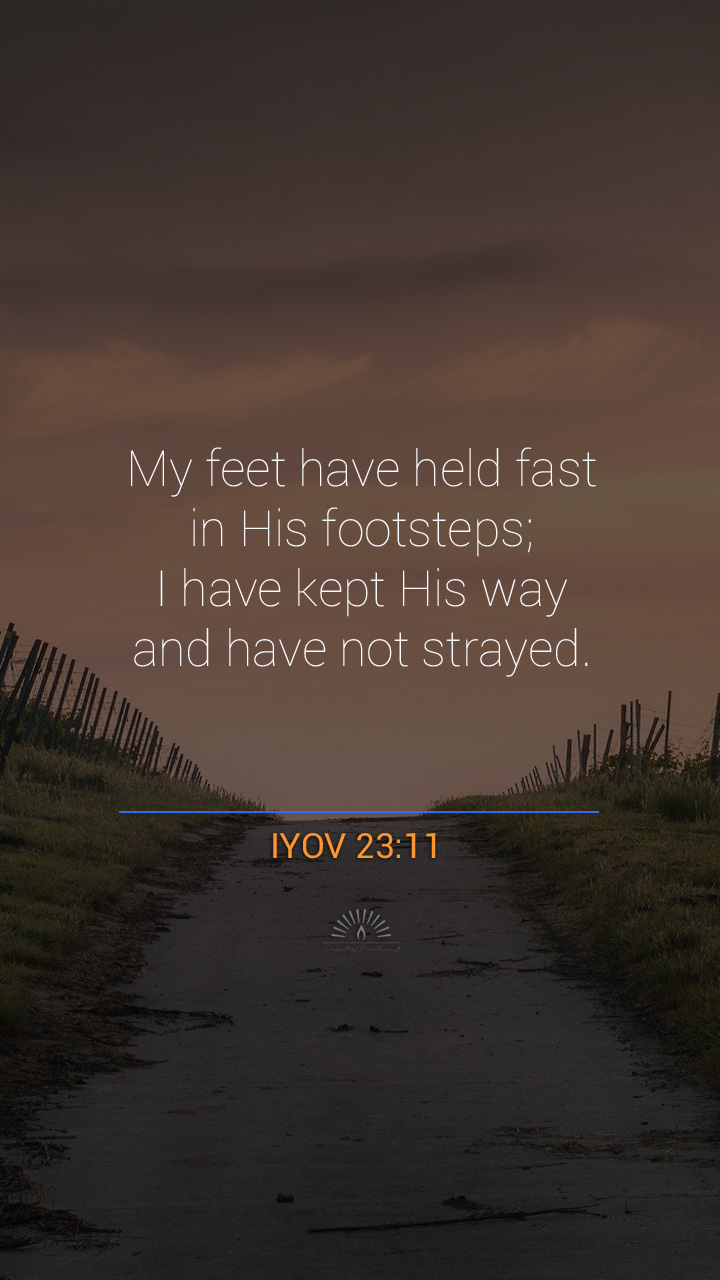 Job Chapter 23 | Job On Faithfulness To G-d | One Chapter A Day