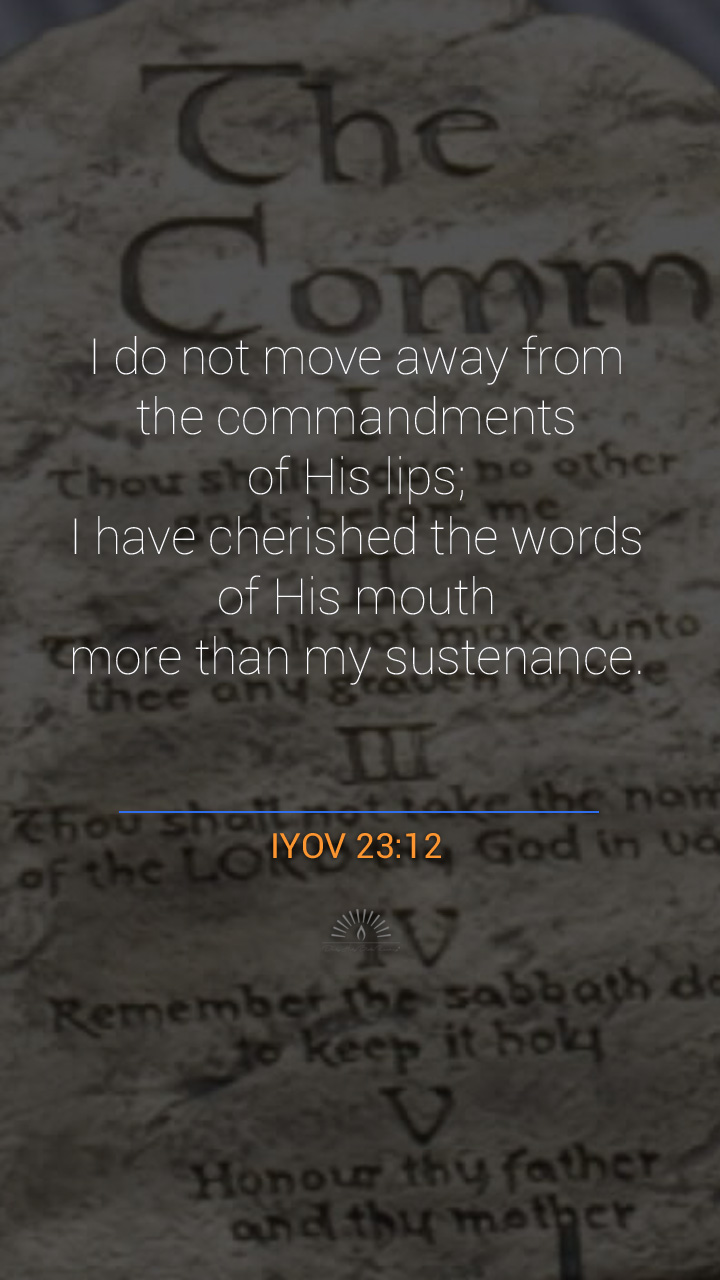 Job Chapter 23 | Daily Holy Bible Reading