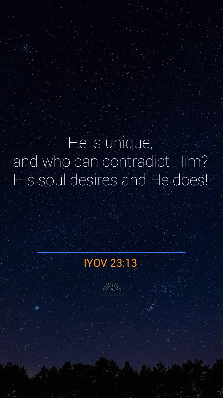 Job Chapter 23 | Daily Holy Bible Reading