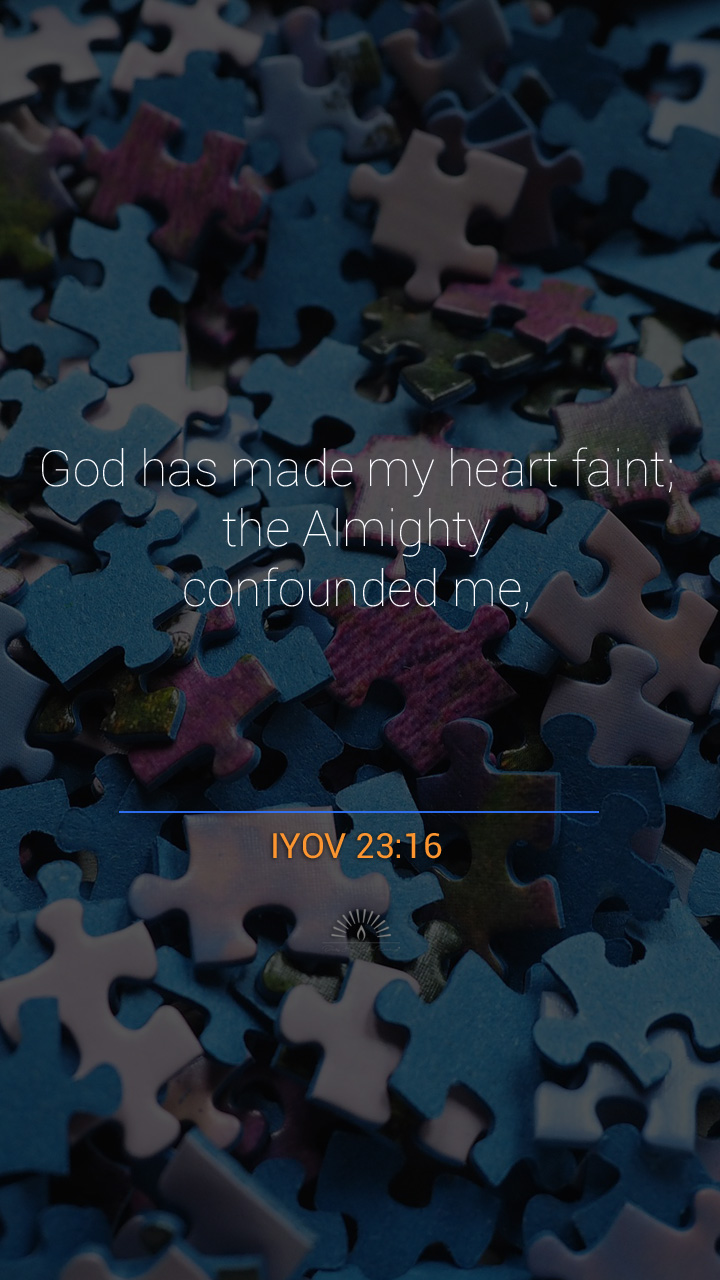 Job Chapter 23 | Daily Holy Bible Reading