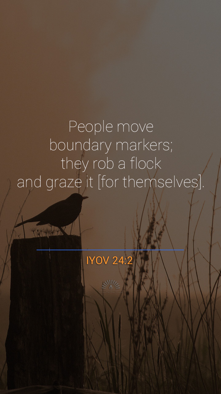 Job Chapter 24 | Daily Holy Bible Reading