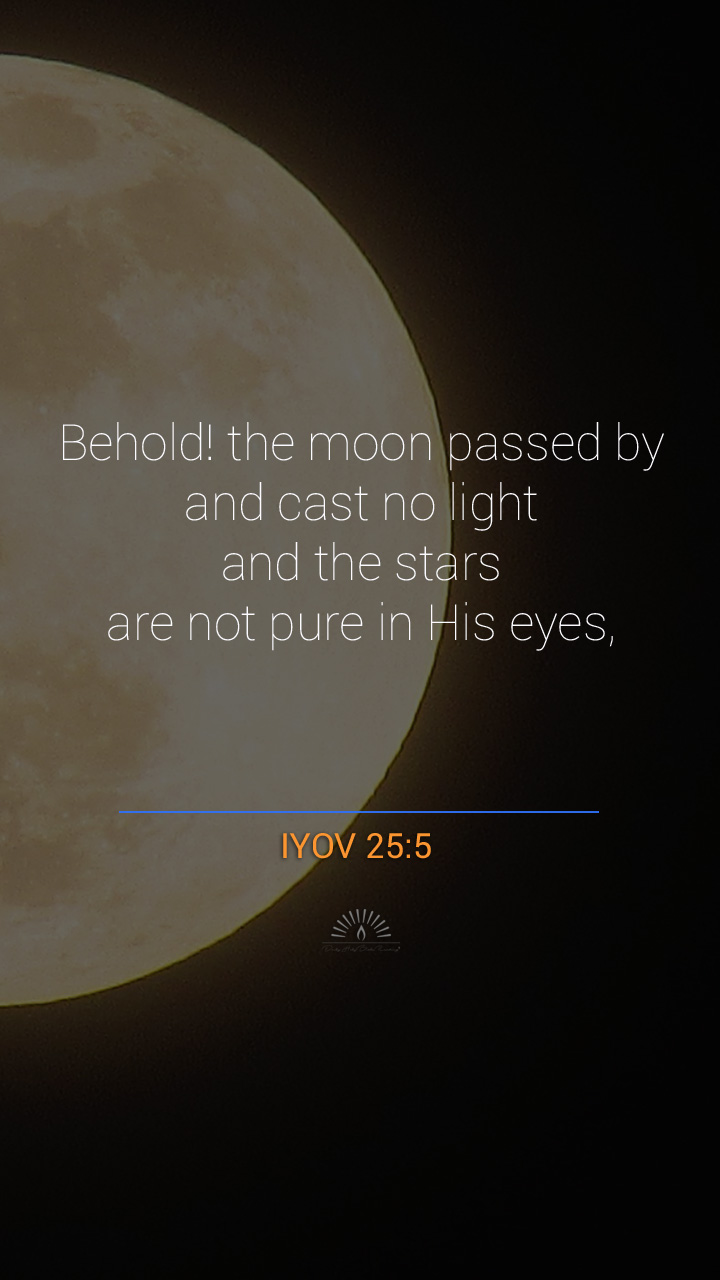 Job Chapter 25 | Daily Holy Bible Reading