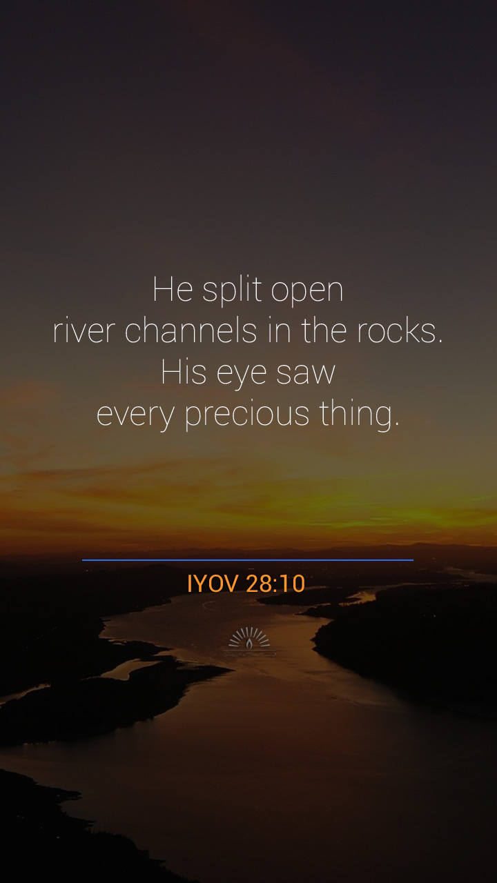 Job Chapter 28 | Daily Holy Bible Reading