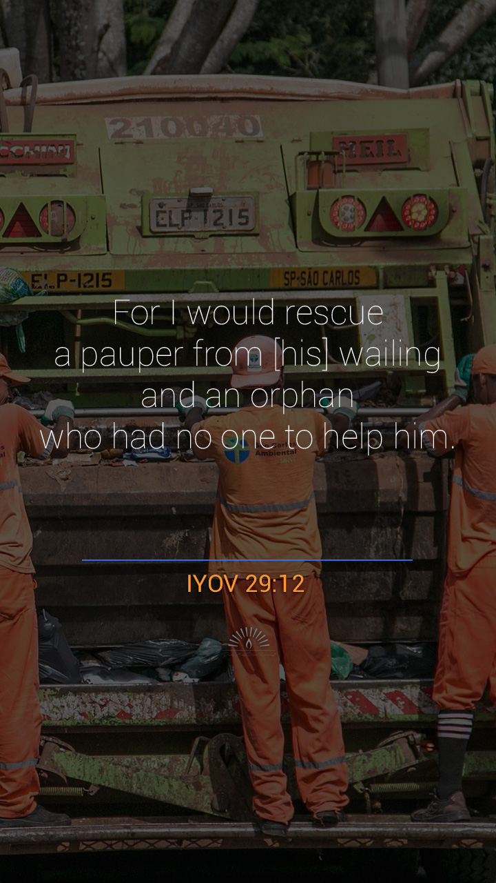 Job Chapter 29 | Daily Holy Bible Reading