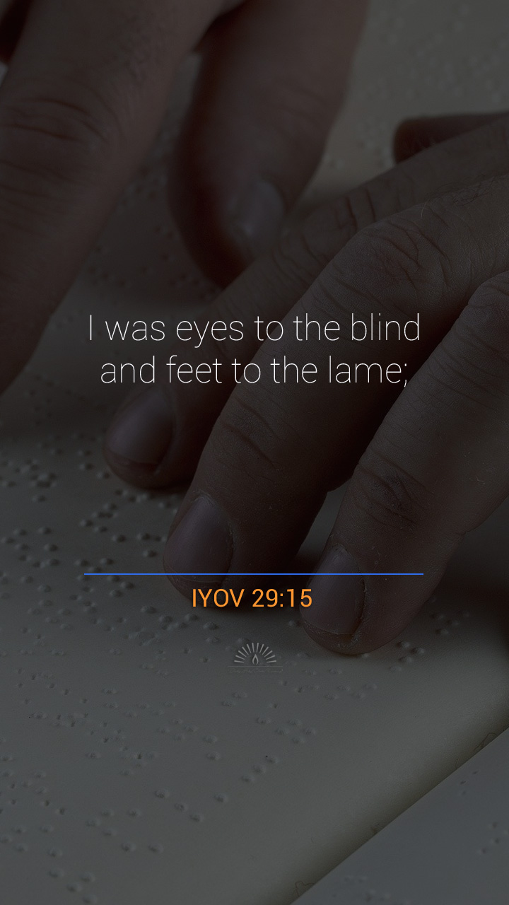 Job Chapter 29 | Daily Holy Bible Reading