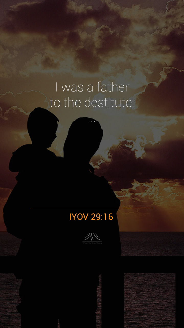 Job Chapter 29 | Daily Holy Bible Reading