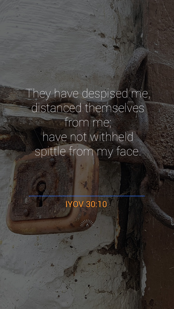 Job Chapter 30 | Daily Holy Bible Reading