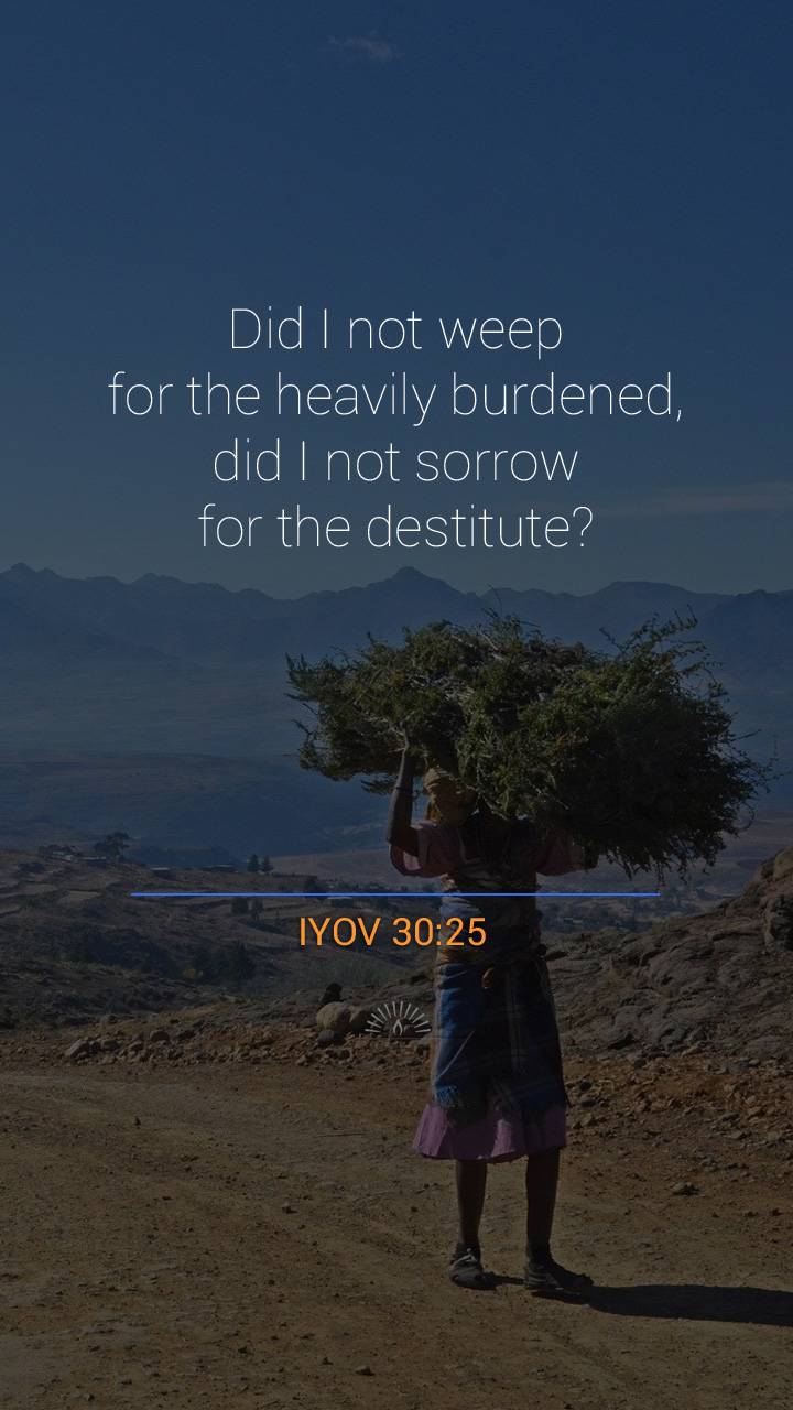 Job Chapter 30 | Daily Holy Bible Reading