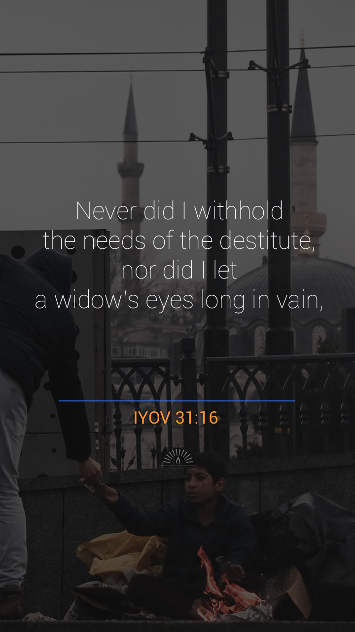 Job Chapter 31 | Daily Holy Bible Reading