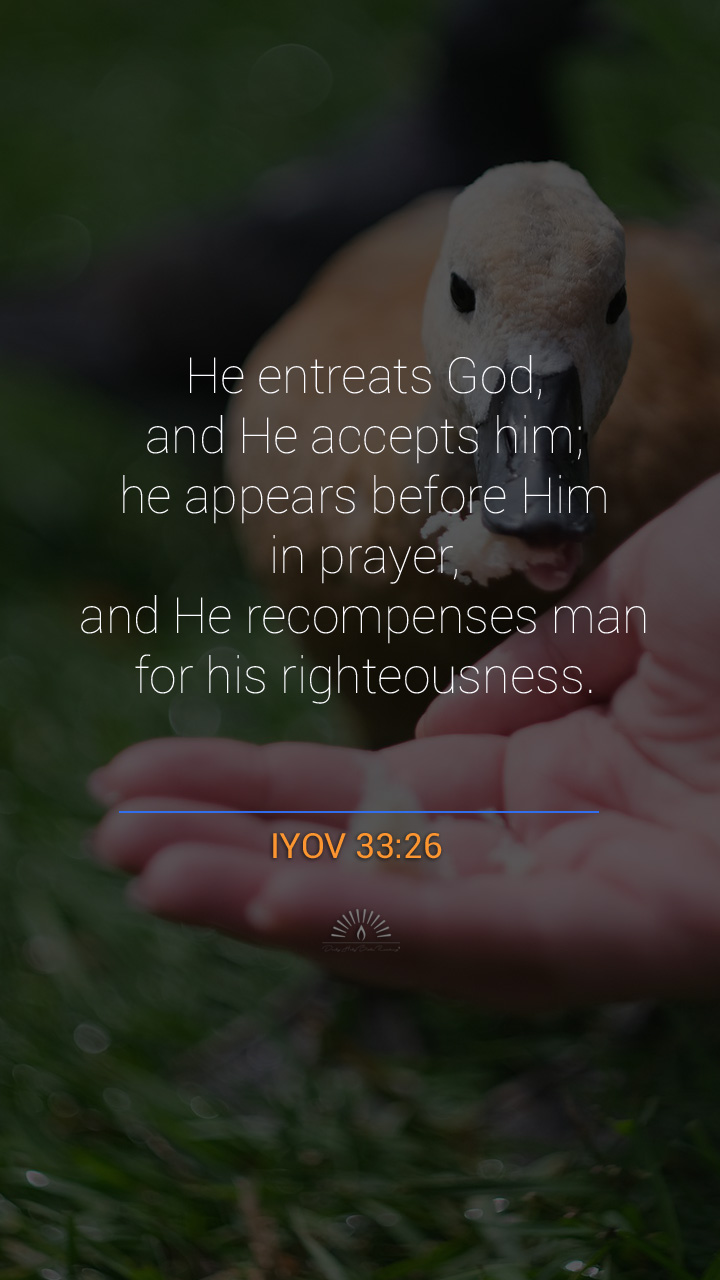 Job Chapter 33 | Daily Holy Bible Reading