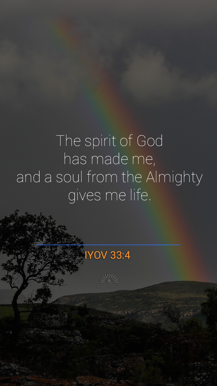 Job Chapter 33 | Daily Holy Bible Reading