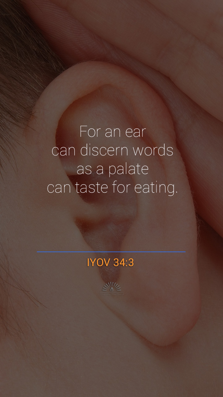 Job Chapter 34 | Daily Holy Bible Reading