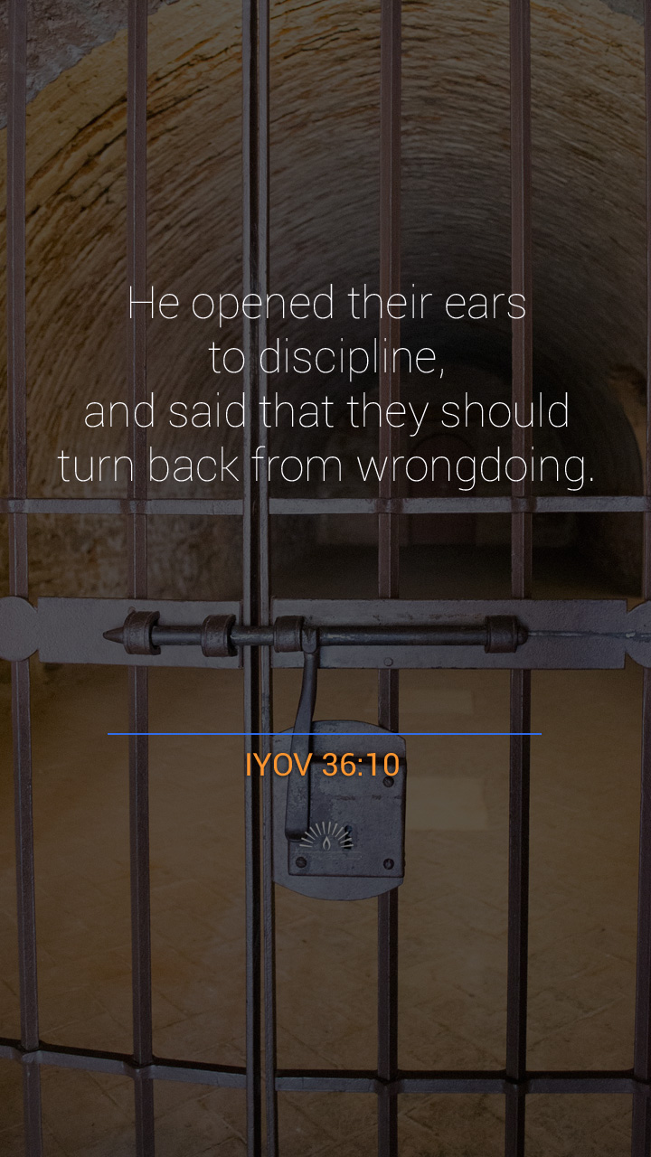 Job Chapter 36 | Daily Holy Bible Reading