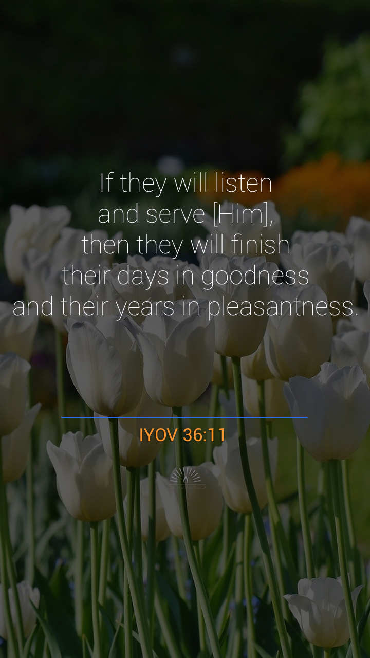 Job Chapter 36 | Daily Holy Bible Reading