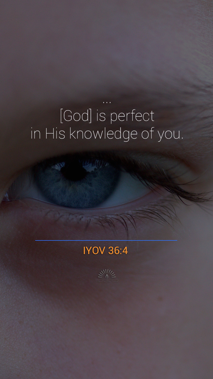 Job Chapter 36 | Daily Holy Bible Reading