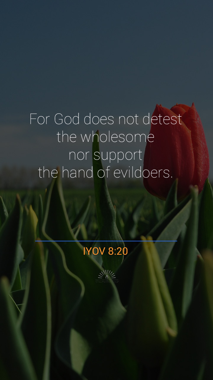 Job Chapter 8 | Daily Holy Bible Reading