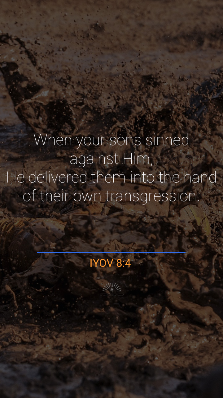 Job Chapter 8 | Daily Holy Bible Reading