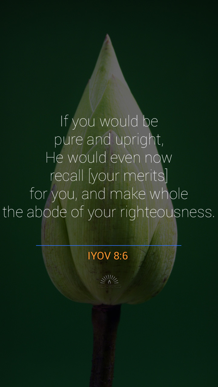 Job Chapter 8 | Daily Holy Bible Reading