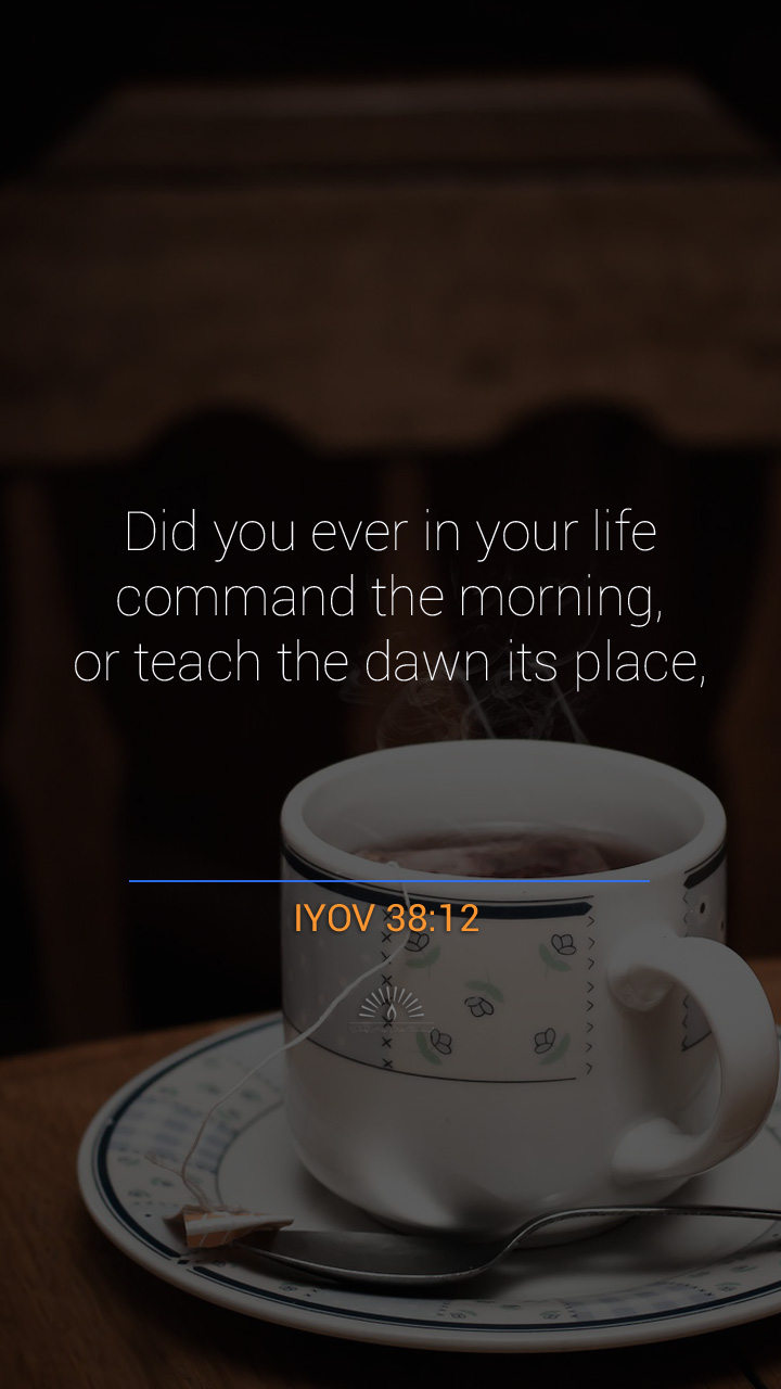 Job Chapter 38 | Daily Holy Bible Reading