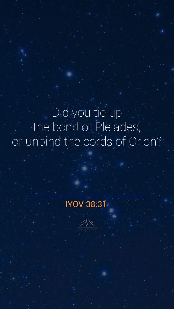 Job Chapter 38 | Daily Holy Bible Reading