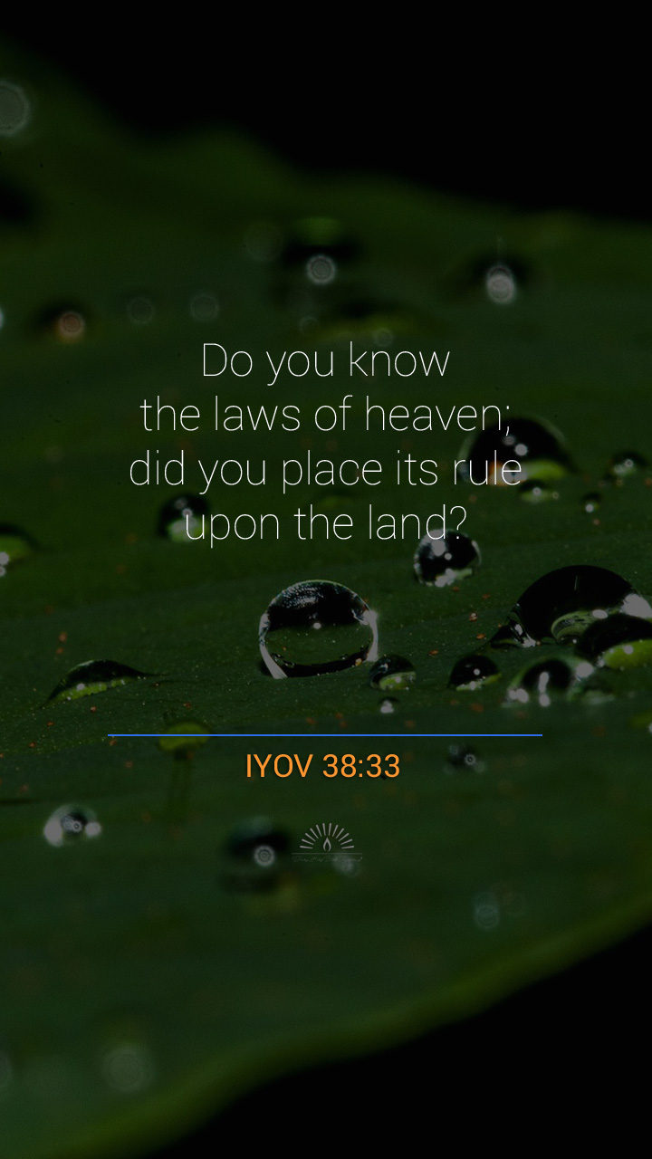 Job Chapter 38 | Daily Holy Bible Reading