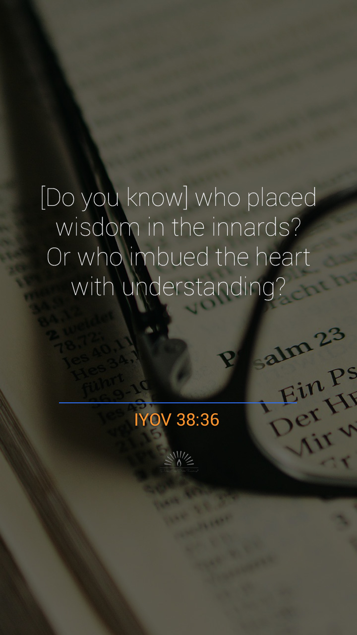 Job Chapter 38 | Daily Holy Bible Reading