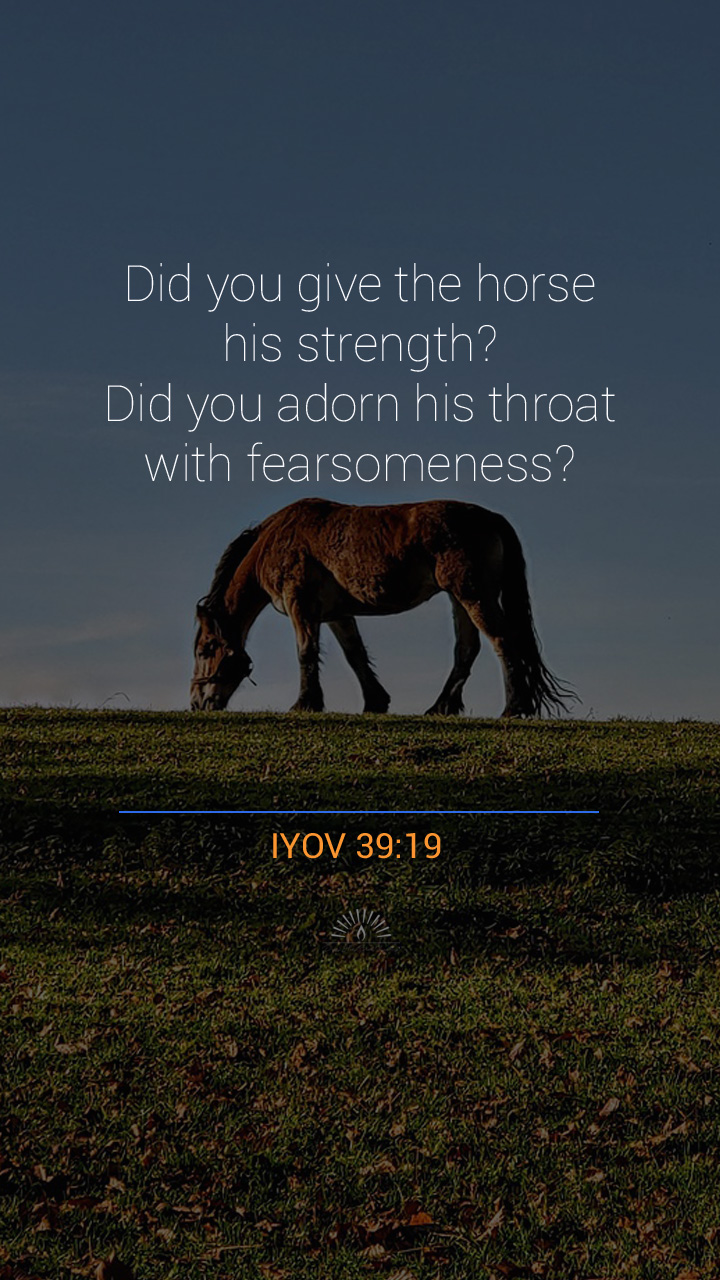 Job Chapter 39 | Daily Holy Bible Reading