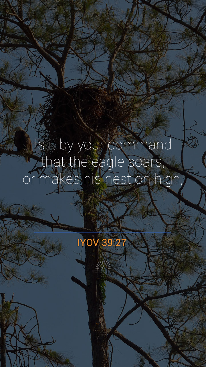 Job Chapter 39 | Daily Holy Bible Reading