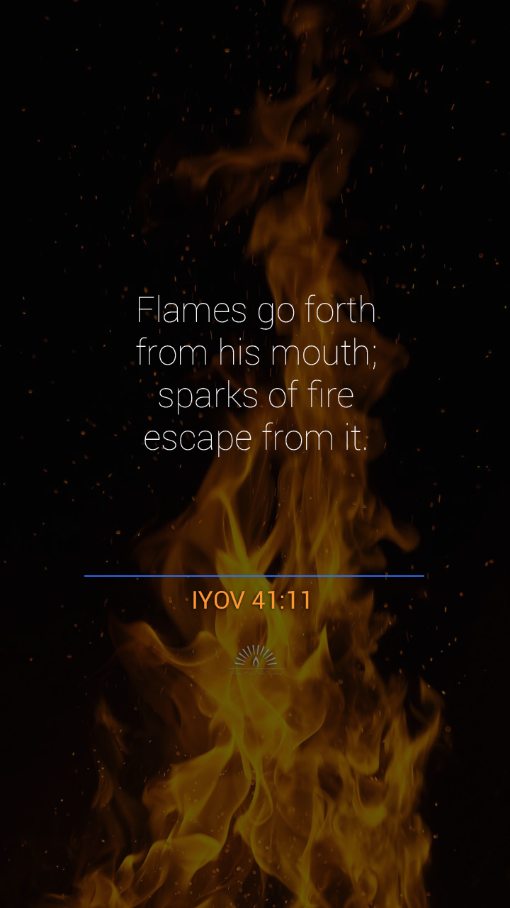 Job Chapter 41 | Daily Holy Bible Reading