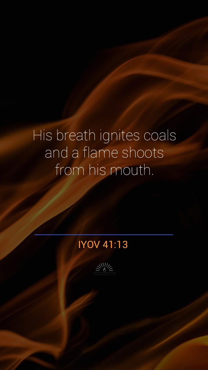 Job Chapter 41 | Daily Holy Bible Reading