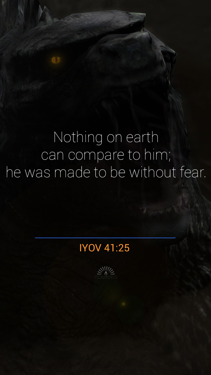 Job Chapter 41 | Daily Holy Bible Reading