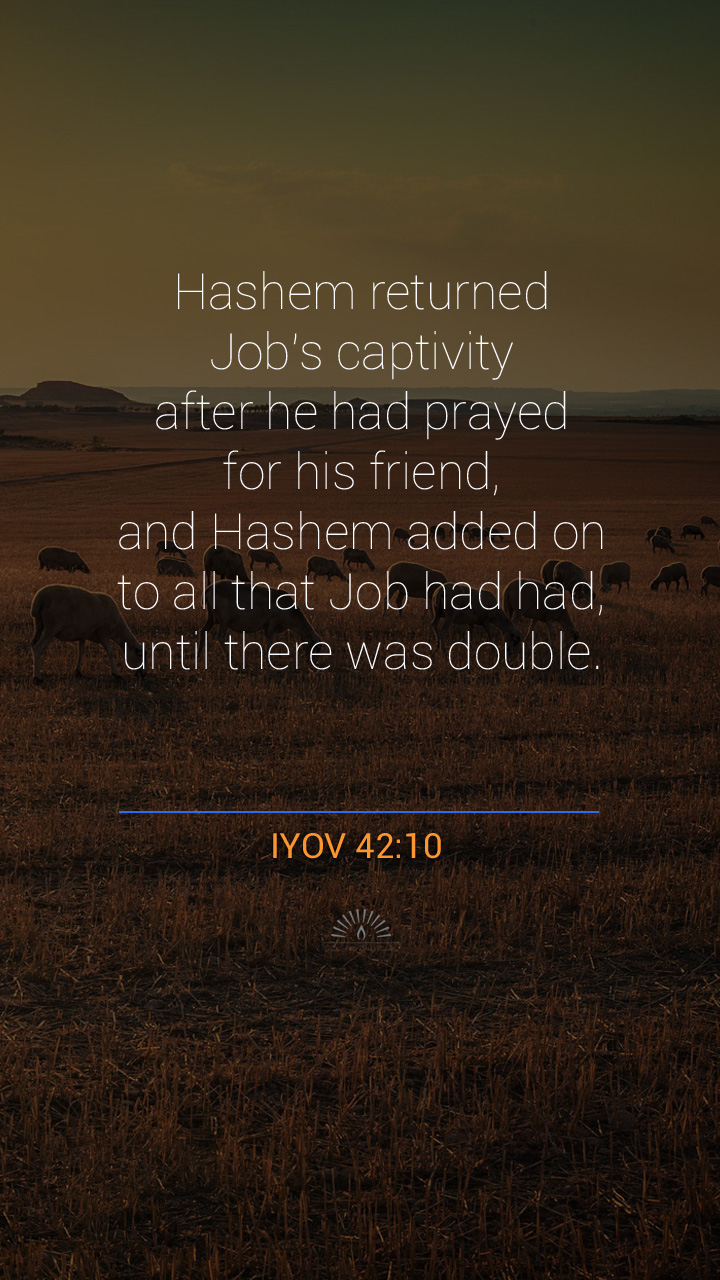 Job Chapter 42 | Daily Holy Bible Reading