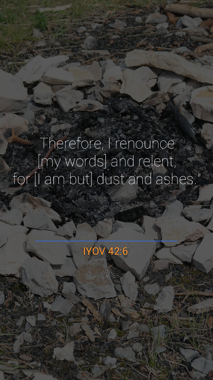 Job Chapter 42 | Daily Holy Bible Reading