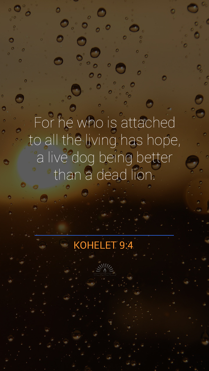 Ecclesiastes Chapter 9 | Daily Holy Bible Reading