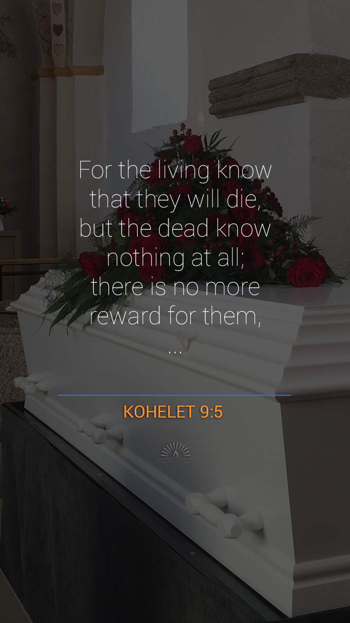 Ecclesiastes Chapter 9 | Ecclesiastes Lays The Distinction | One ...