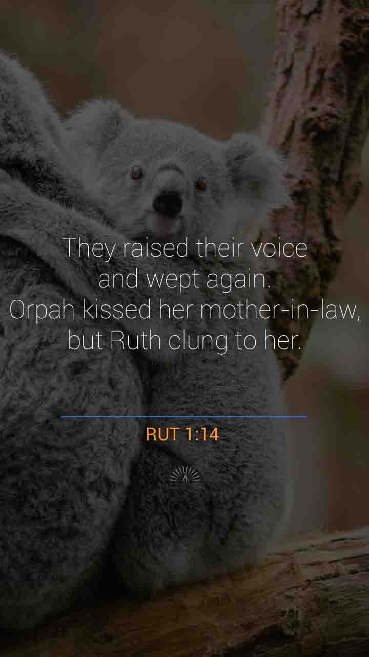 Ruth Chapter 1 | Daily Holy Bible Reading