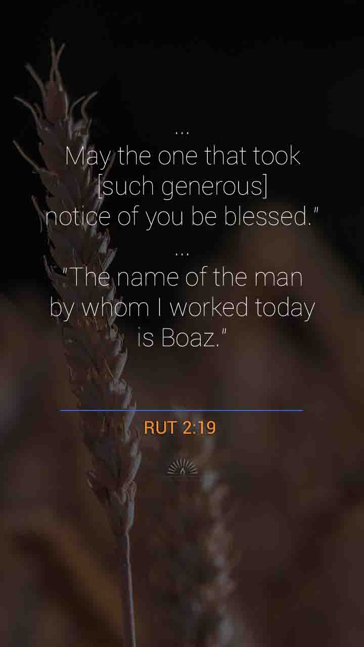 Ruth Chapter 2 | Daily Holy Bible Reading