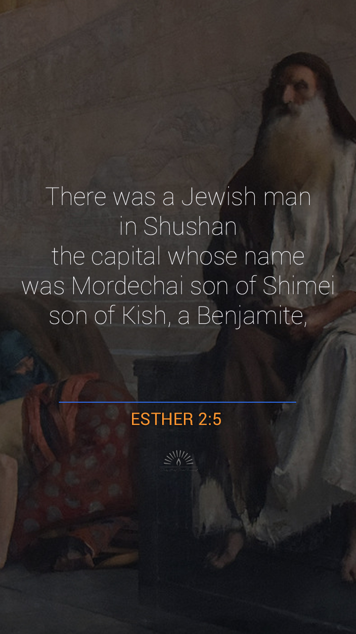 Esther Chapter 2 | Daily Holy Bible Reading