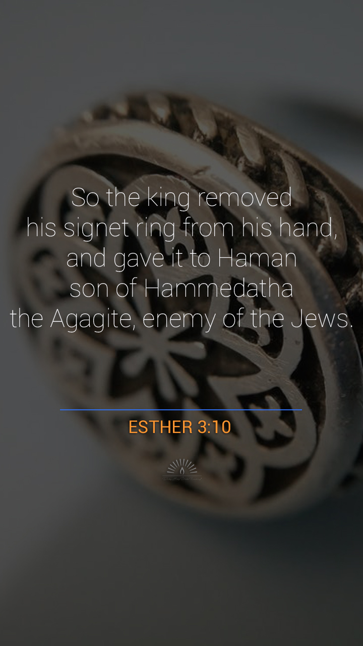 Esther Chapter 3 | Daily Holy Bible Reading