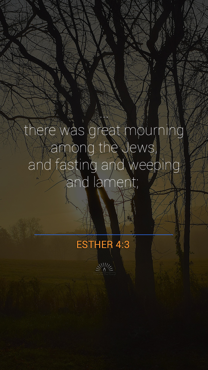 Esther Chapter 4 | Daily Holy Bible Reading
